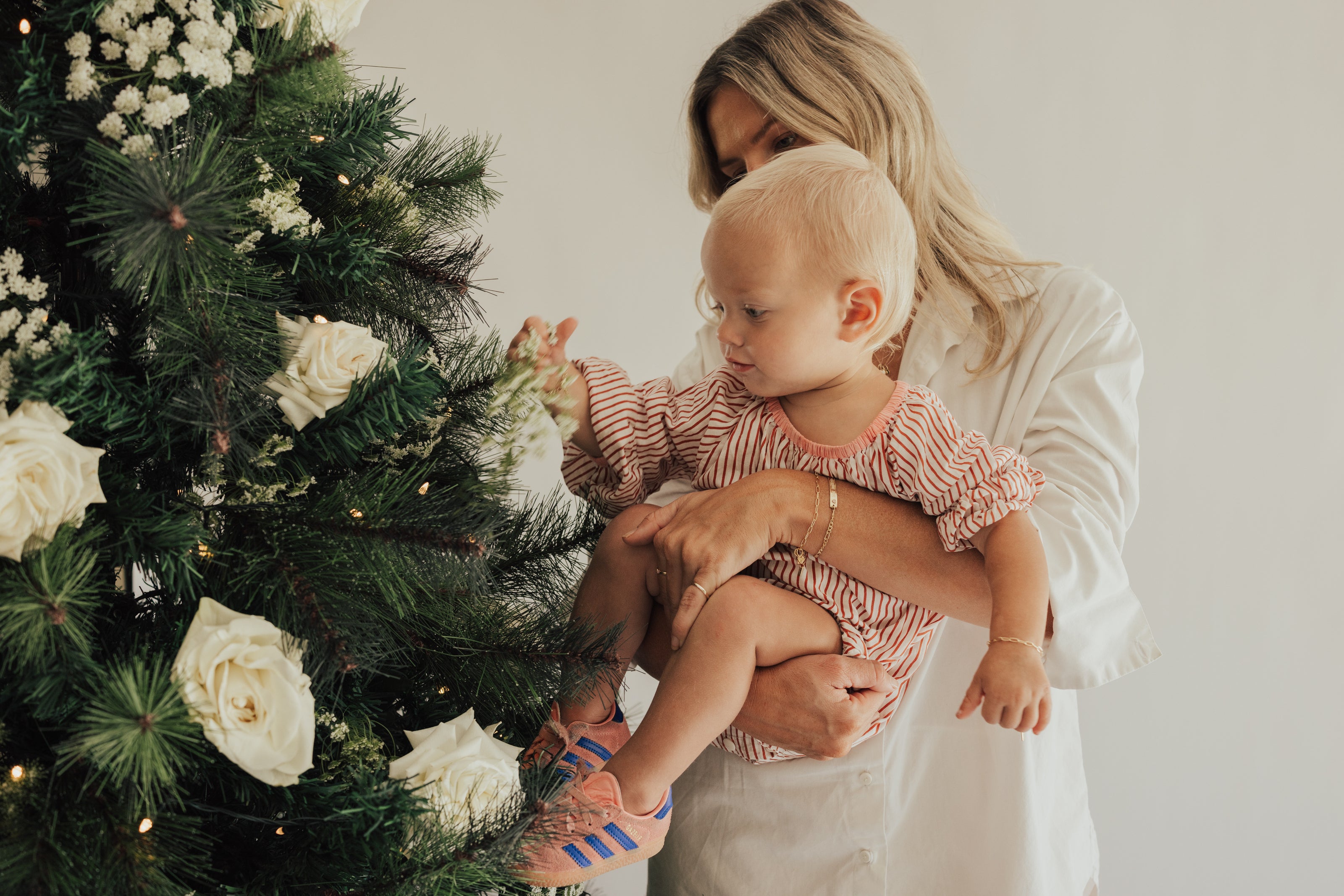 About Us – Bluebird Co.