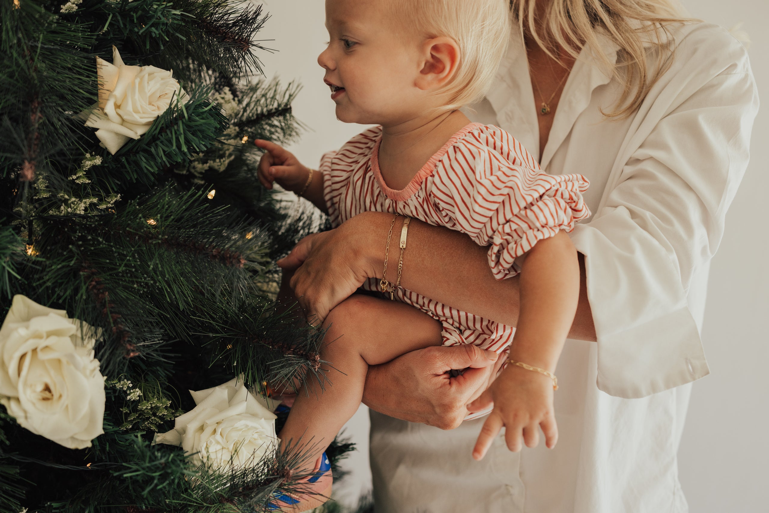 Bluebird Co – Bluebird Co.