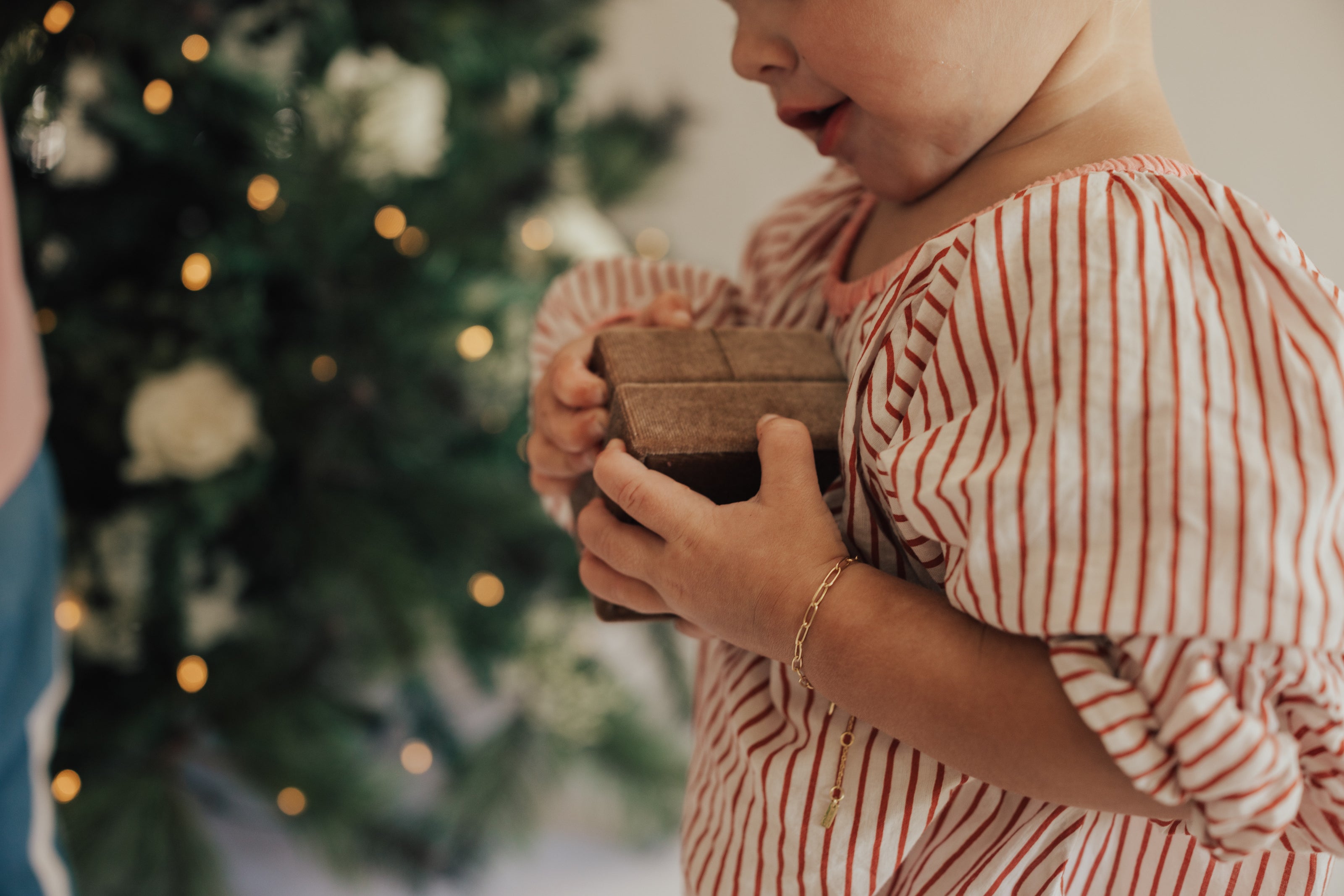 About Us – Bluebird Co.